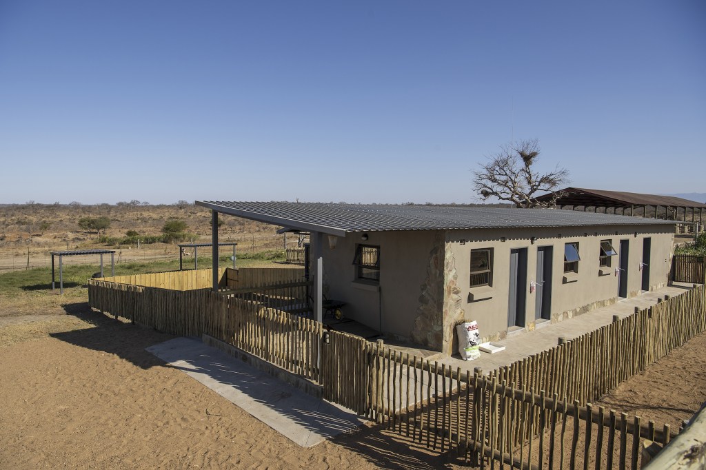Jabulani… The story of an exceptional twenty-year journey ...
